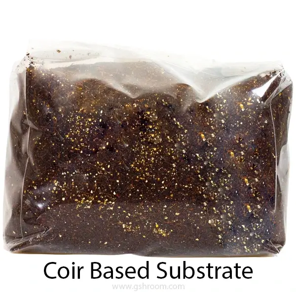 Sterilized Coco Coir Substrate | Gshroom