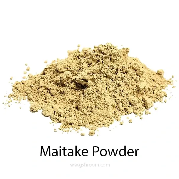 Mushroom Powder | Gshroom